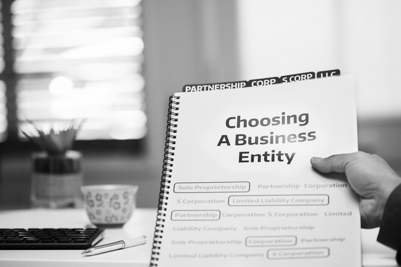 The 4 Types of Business Formations | Havins Business Services